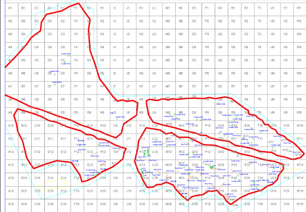 Ancient woodland soils translocation - HS2 Learning Legacy