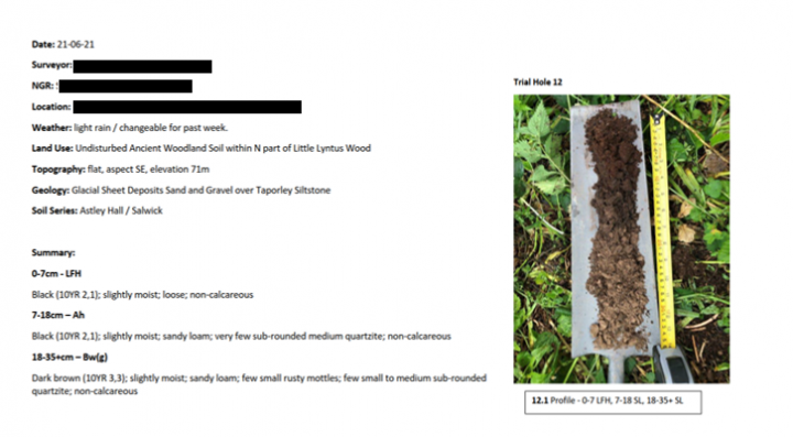 Ancient woodland soils translocation - HS2 Learning Legacy
