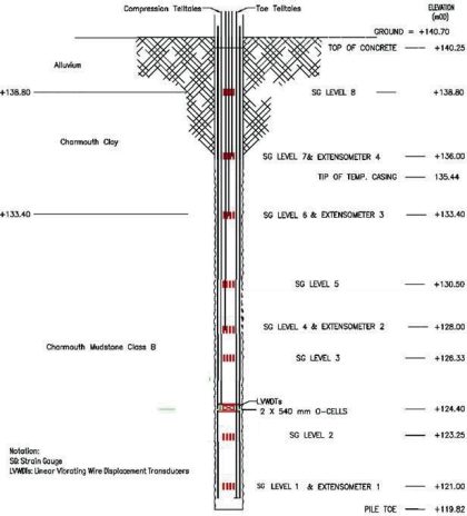 Investigation of the behaviour and the design for piles subject to ...