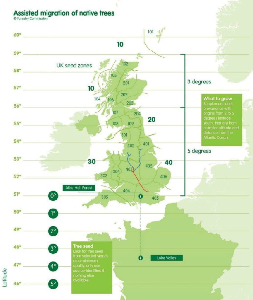 The cutting edge (a resilient plant procurement strategy supporting HS2 ...