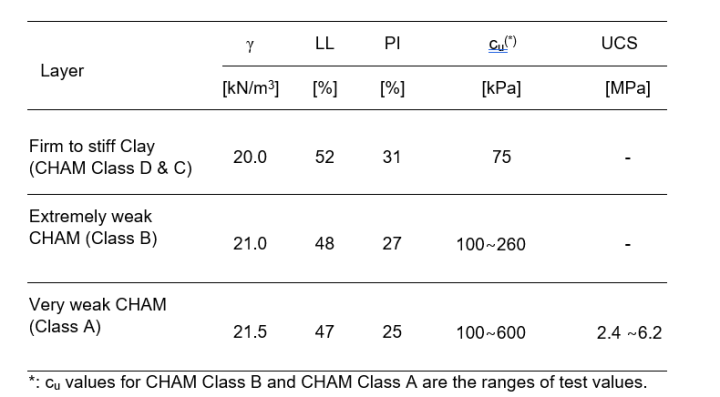 Investigation of the behaviour and the design for piles subject to ...