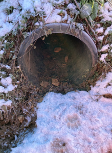 Artificial badger sett design - HS2 Learning Legacy