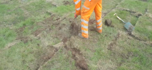 Grassland translocation – successes and solutions - HS2 Learning Legacy