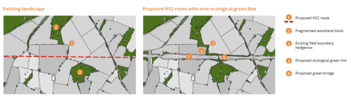 HS2 design approach to green infrastructure - HS2 Learning Legacy